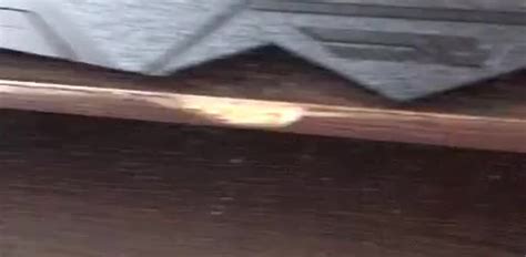 Monster Abra A5 V17 2 3 Cihazımın Kronik Mavi Ekran Sorunu Şikayetvar