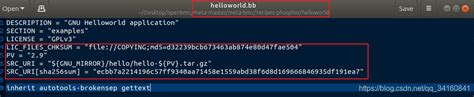 openbmc开发18：应用软件管理 rdepends masterhu88的博客 csdn博客