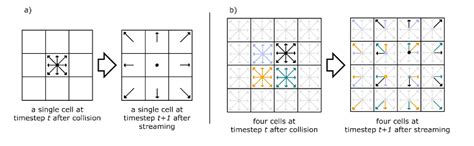 lattice boltzmann