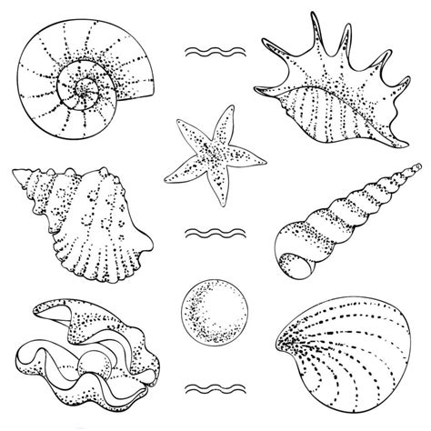 Coloriage Coquillage à imprimer sur ColoriageEnfant