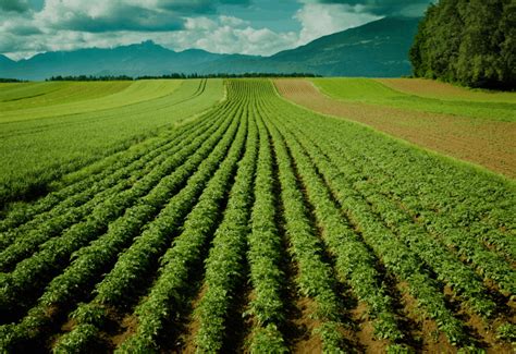 La tierra prometida Visión al Futuro
