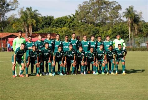 Botafogo x Palmeiras informações e onde assistir ao jogo pelo