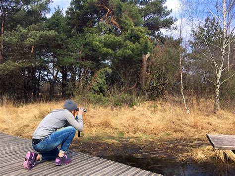 Hoge Veluwe National Park All You Need To Know We12Travel
