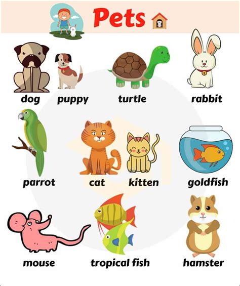 Hình các con vật cho bé Khám phá ngay để bé thích thú