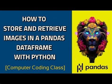 Store Image In Dataframe Pandas Save Image In Dataframe Python Pandas