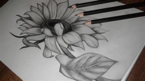 Total Imagen Lapiz Girasol Dibujo Abzlocal Mx