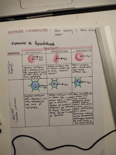 Aesthetic Biologia Biology Biolchem Biol Rozszerzona Biologia Osmoza