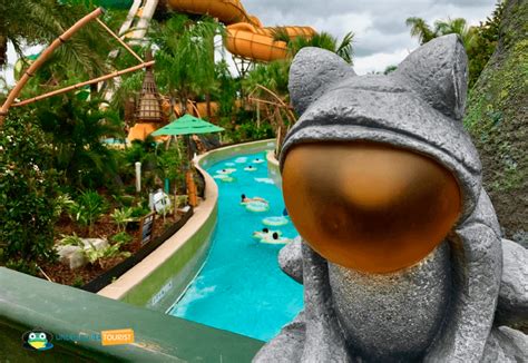 Los Mejores Parques Acu Ticos En Orlando Disneyadictos