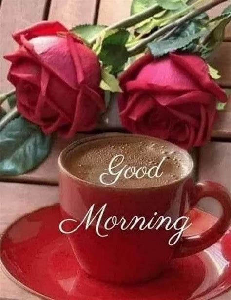 Pink Rose Coffee Good Morning Pictures Photos And Images For