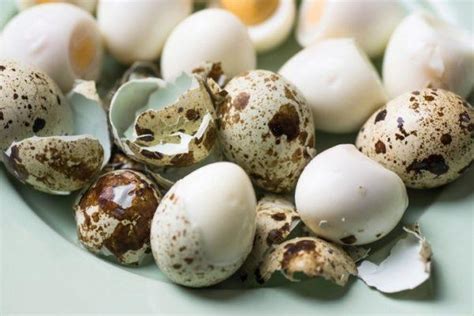 Cuanto Tiempo Se Deben Dejar Hervir Los Huevos De Codorniz Recetas