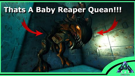 Taming A Reaper Queen Ark Survival Evolved Ep 100 Aberration