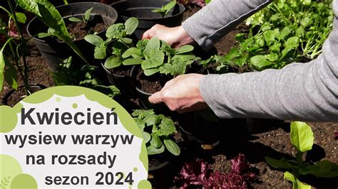 Jakie warzywa siać w kwietniu na rozsady Wysiew warzyw w kwietniu