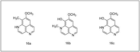 Metabolites Free Full Text Evolution Of Natural Product Scaffolds