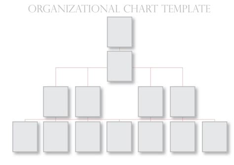 Plantilla De Organigrama Vector Premium