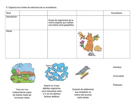 Actividad de Factores bióticos y abióticos Factores bioticos y