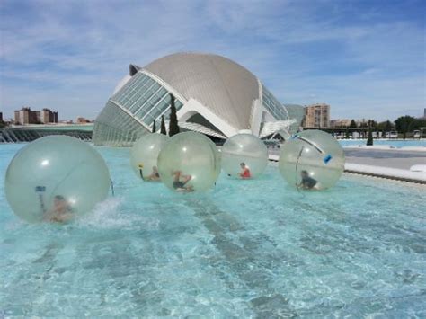 La Ciutat de les Arts i les Ciències ofrece de nuevo las actividades