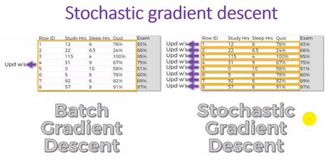 what is stochastic gradient descent and mini batch gradient descent in ml