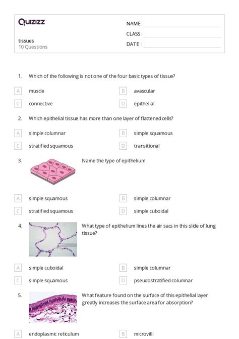 50 Tissues Worksheets For 9th Class On Quizizz Free Printable