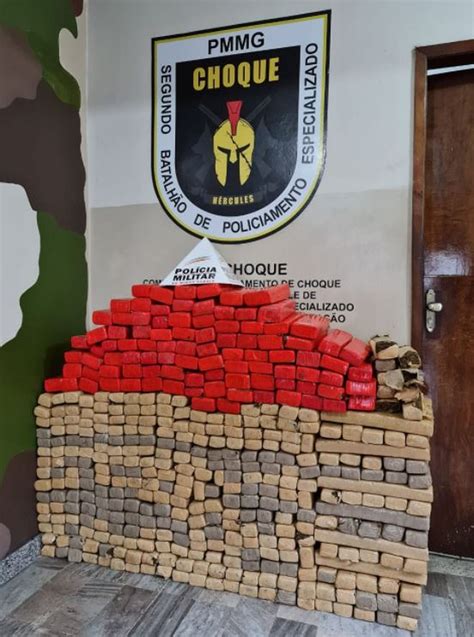 Polícia Militar apreende cerca de meia tonelada de maconha na Grande BH