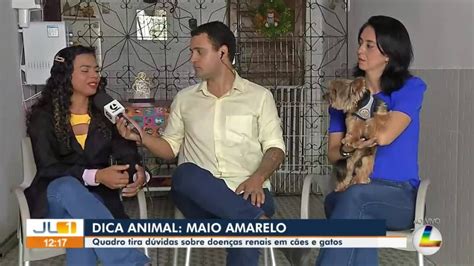 VÍDEOS Jornal Liberal 1ª Edição de quinta feira 9 de maio de 2024