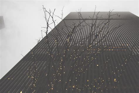 1360x768 Wallpaper Black Naked Tree Peakpx