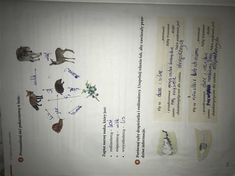 Karta pracy biologia przegląd i znaczenie ssaków Brainly pl