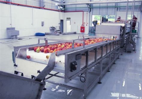 Nuevo Linea De Extraccion Para Manzanas Peras Y Kiwis En Parma Italia