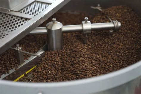 Todo lo que debes saber del secado del café CaféCafeteras