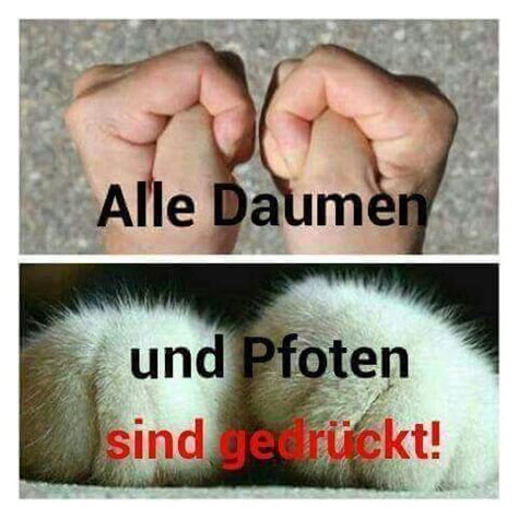 Daumen Dr Cken Witzige Spr Che Spr Che Gl Ck Und Lustige Spr Che