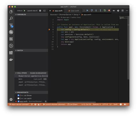 swift vs code and you vknabel