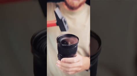 Ванесса Дом Гучи уехала из дома Кто мечтает о бурманской лапуле