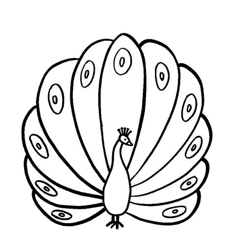 Imagenes De Un Pavo Real Para Colorear
