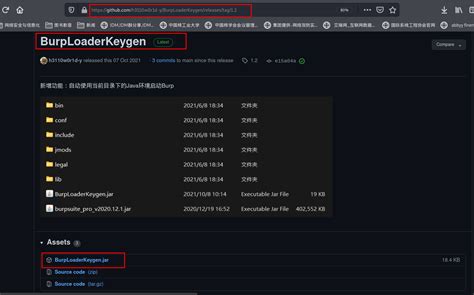 kali 2021 安装配置burpsuite pro 2021 3 3（小蓝版）教程 zw05011的博客 csdn博客 kali中安装burpsuite