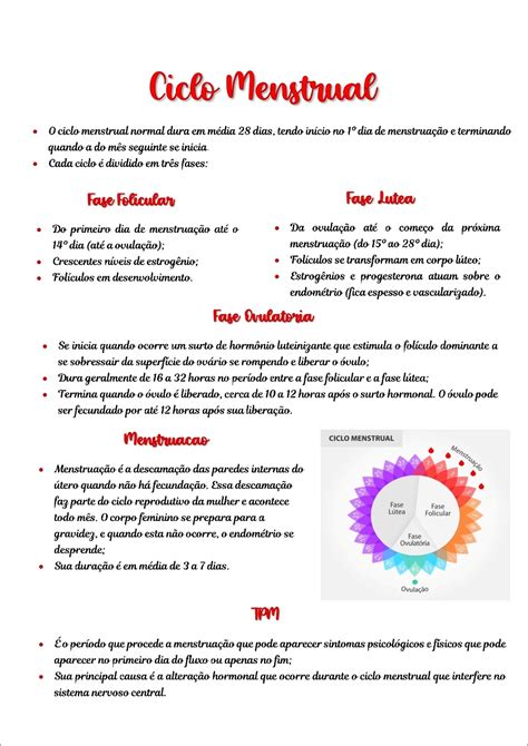 Mapas Mentais Sobre CICLO MENSTRUAL Study Maps