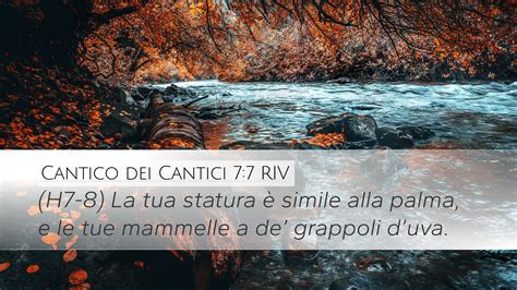 Cantico dei Cantici 7 7 RIV Desktop Wallpaper H7 8 La tua statura è