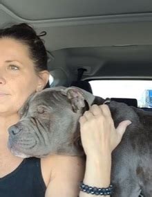 Petit chien qui a été abandonné attaché à un poteau donne sa patte à