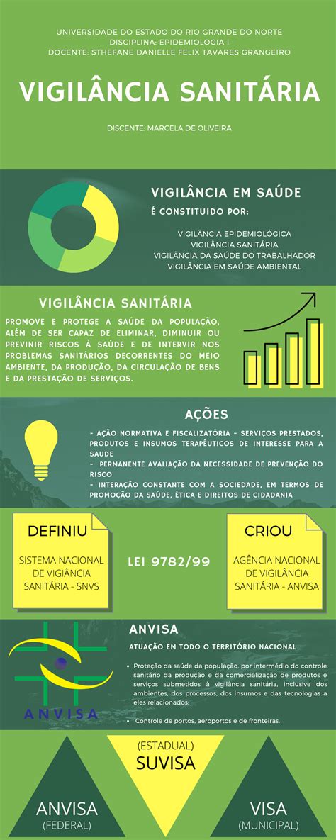 A Programa O Anual De Vigil Ncia Sanit Ria Entendida Como Retoedu