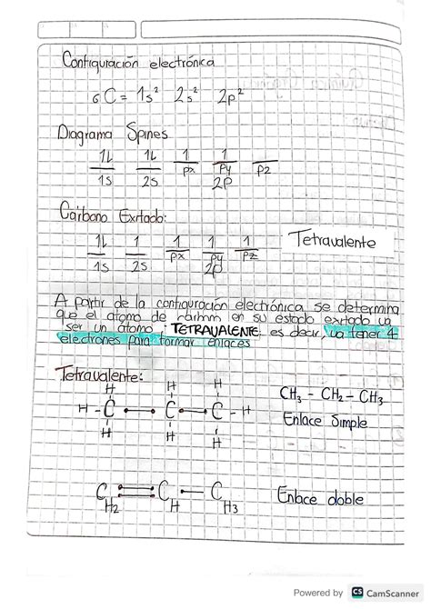 Solution Resumen Quimica Organica Studypool