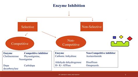 Pharmacology I Pharmacodynamics I Mechanism Of Drug Action PPT