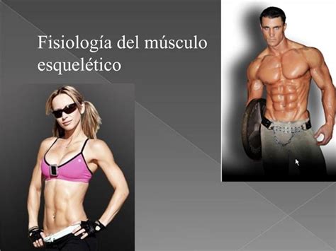 PPT Fisiolog A Del M Sculo Esquel Tico PowerPoint Presentation Free