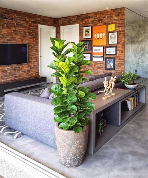 Vasos para plantas 60 modelos e ideias para fazer você mesmo