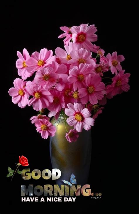 Top 999 Beautiful Good Morning Images Hd Amazing Collection