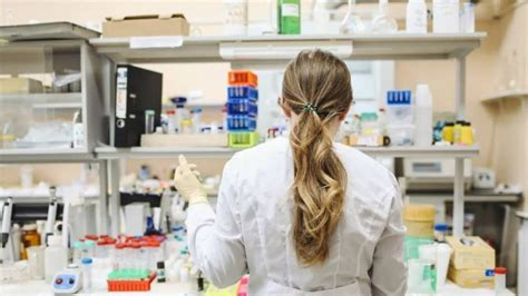 Técnico de farmacia y parafarmacia funciones y responsabilidades