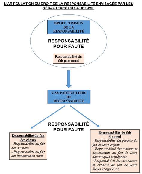 La responsabilité du fait personnel Le Droit dans tous ses états