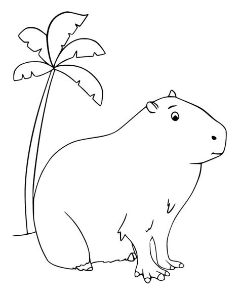 Desenhos De Capivara Para Colorir Pintar E Imprimir ColorirOnline