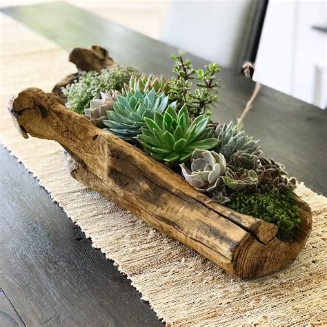 The Ultimate Guide To Creating A Beautiful Multiple Succulent Planter