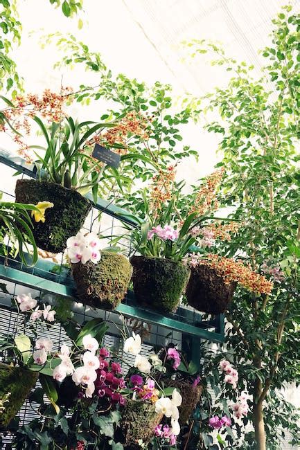 Descubre La Belleza Y Variedad De Las Plantas Con Flores Silencio