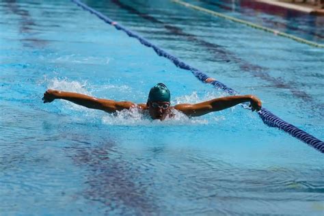 Natación en educación física Mundo Entrenamiento