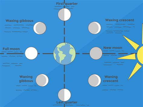 Diagram Phases Of The Moon
