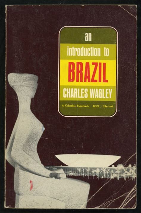 ANOS DOURADOS IMAGENS FATOS ESTANTE DE LIVROS